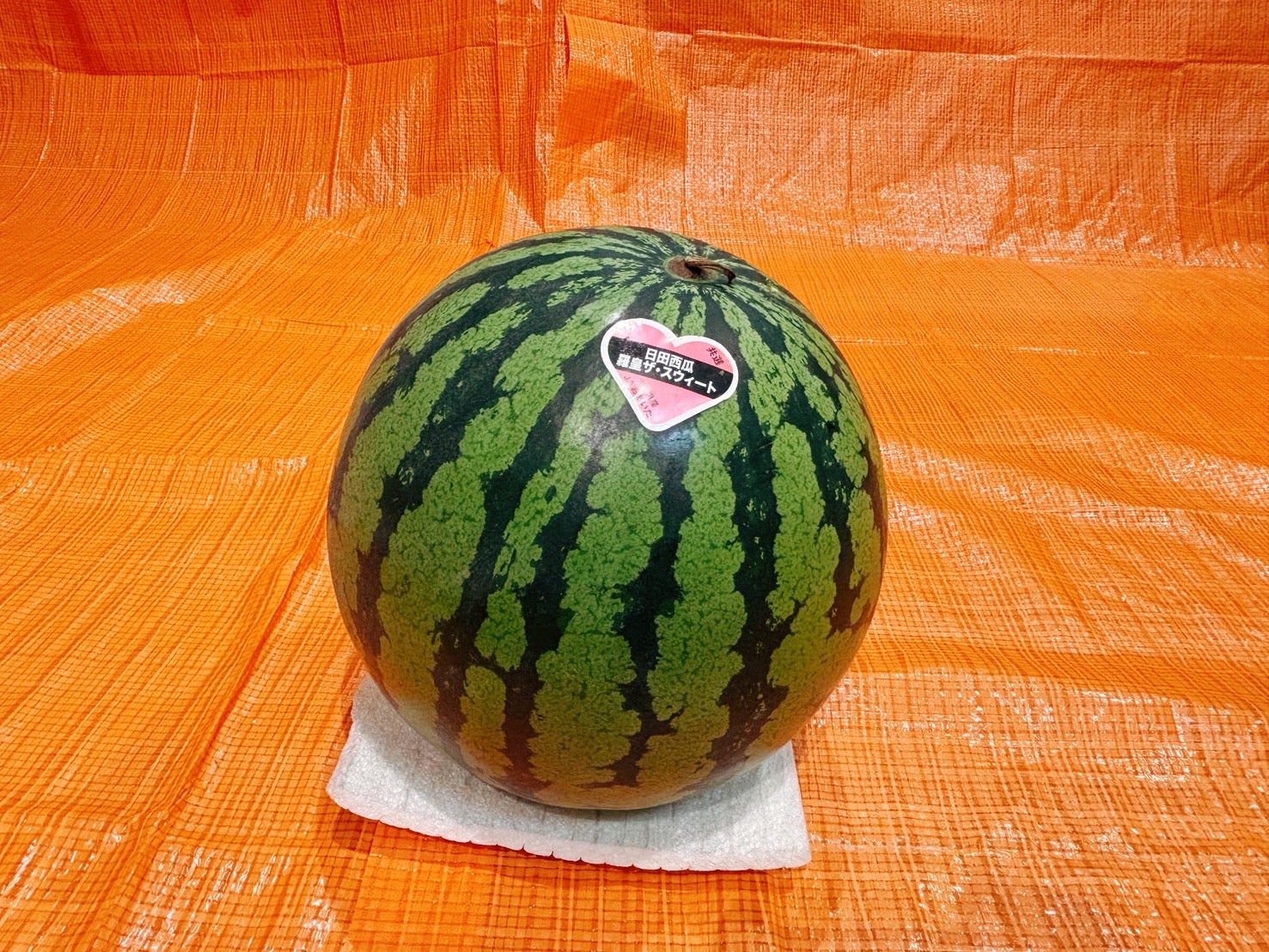 OBS大分放送の村津孝仁アナがスイカ割り実況 in 東京！まさか木刀真っ二つ！？ | TBSラジオ