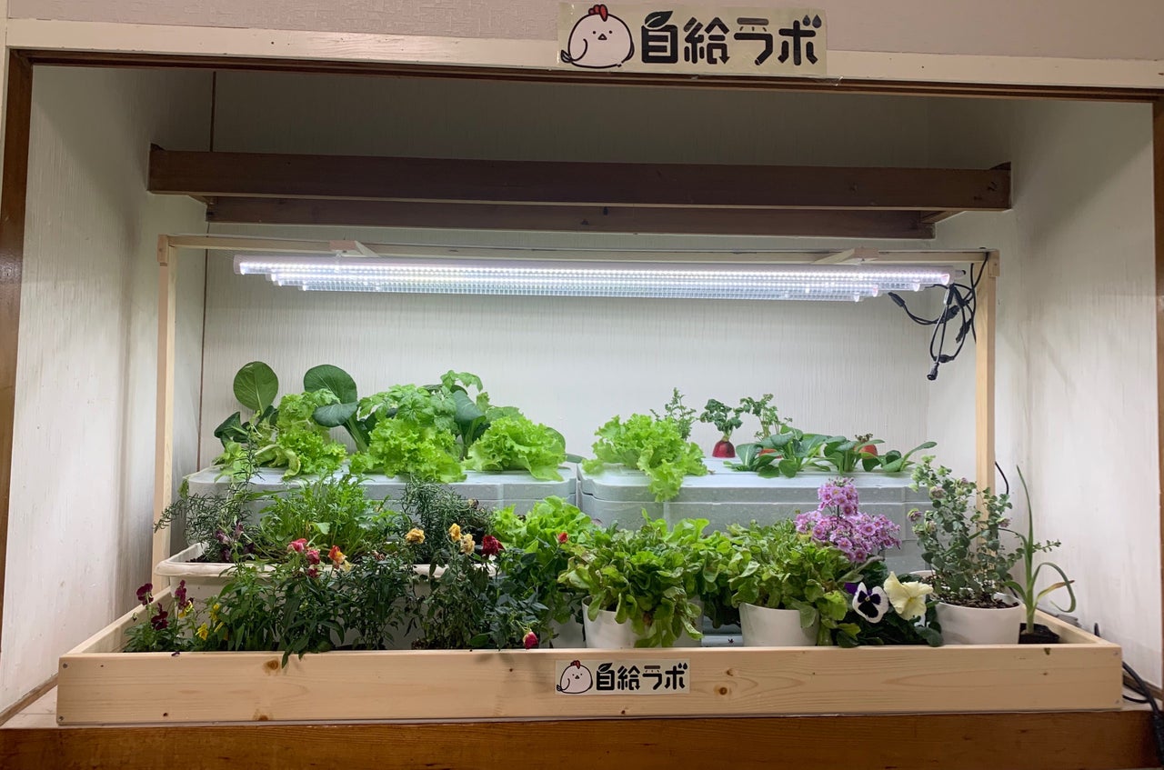発明ウィーク！！押入れで自給自足！？ Tbsラジオ