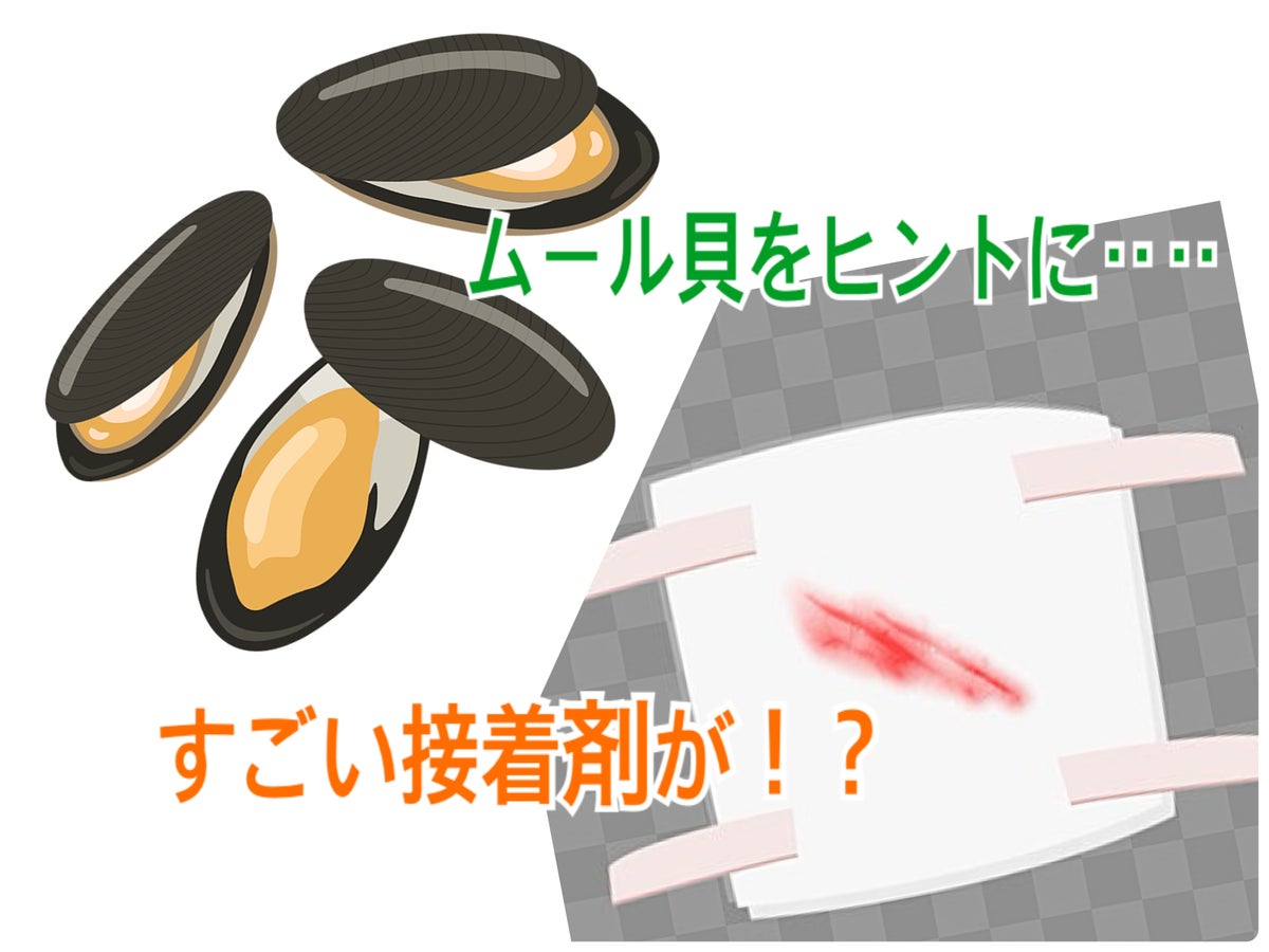 体温付近で、接着力が1000倍変わる接着剤！ | TBSラジオ